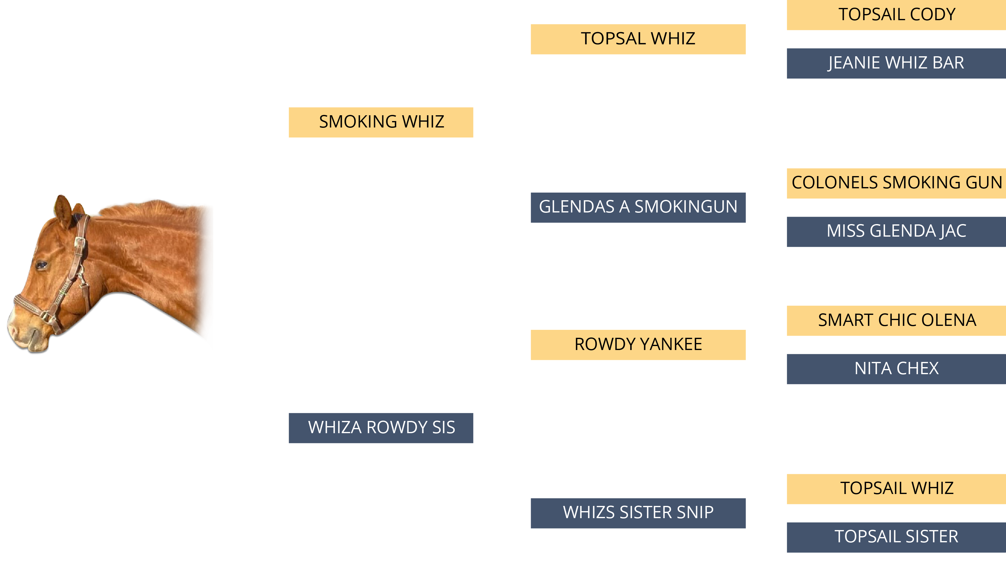 Smoking Rowdy Sis – Rancho la Estrella